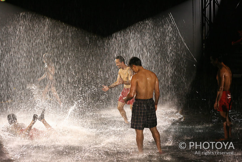 IMG_5010.jpg - photoya